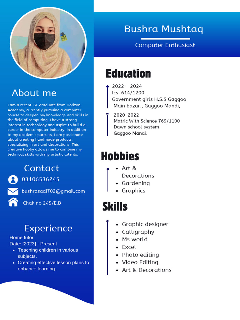 Bushra ' s Cv _20241011_093941_0000 | PDF