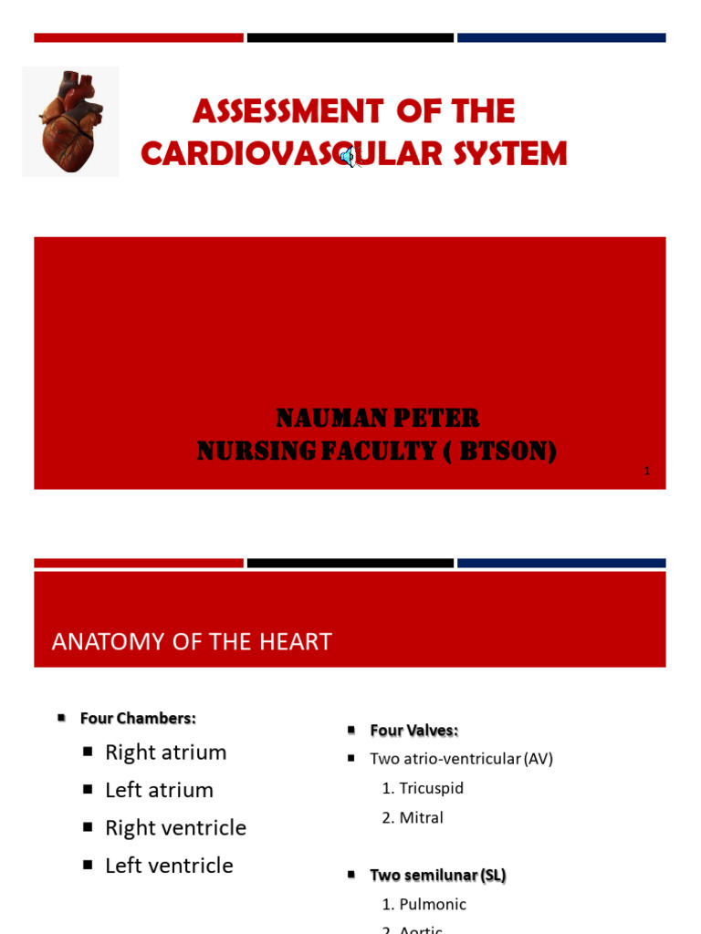 Cardiovascular System Assessment Guide | PDF | Pulse | Vein