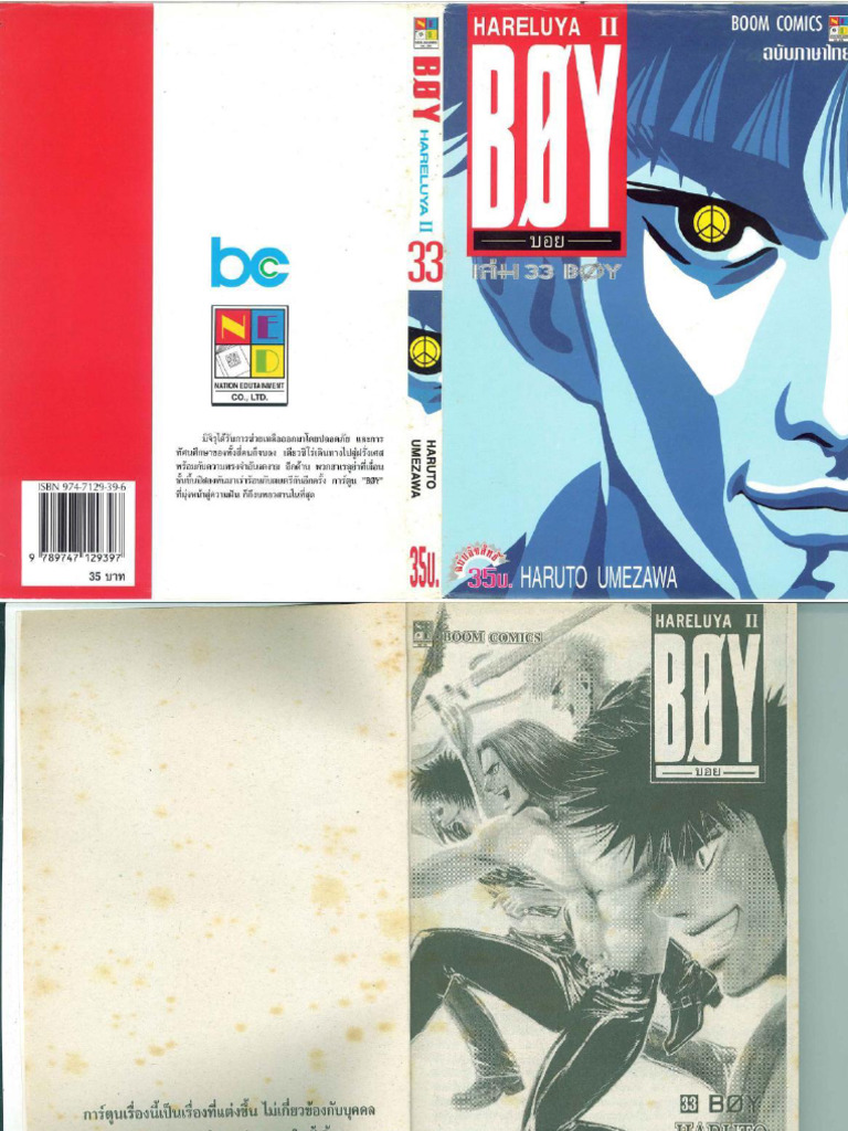 Boy 33 | PDF