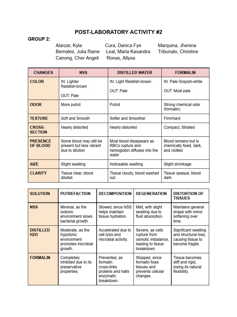 Group 2 Post Laboratory Activity 2 Final | PDF | Biology | Cell Biology