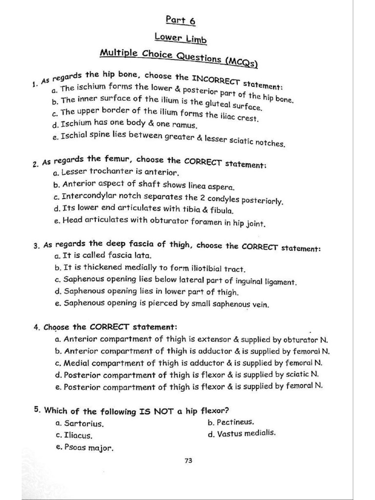 Chapter 6 Lower Limb | PDF