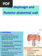 Vertebral Levels and Landmarks | PDF
