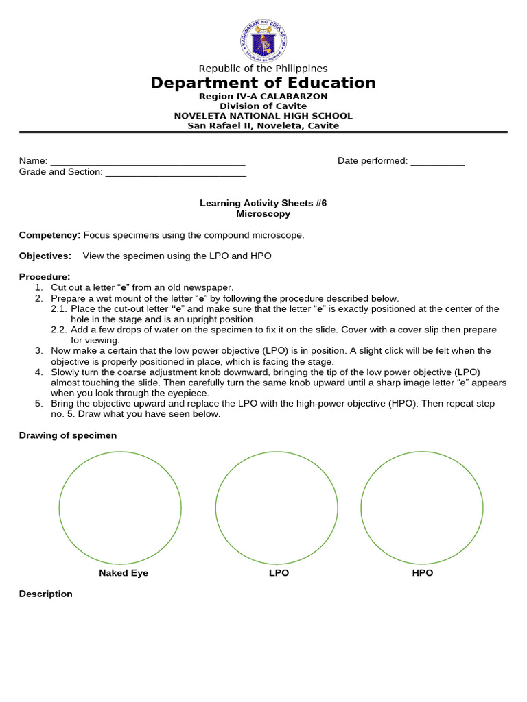 Q1 LAS #6 Microscopy | PDF