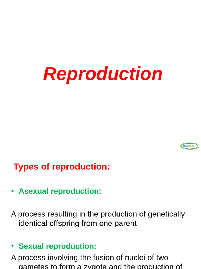 Plant Reproduction: Asexual & Sexual Methods | PDF | Flowers | Seed