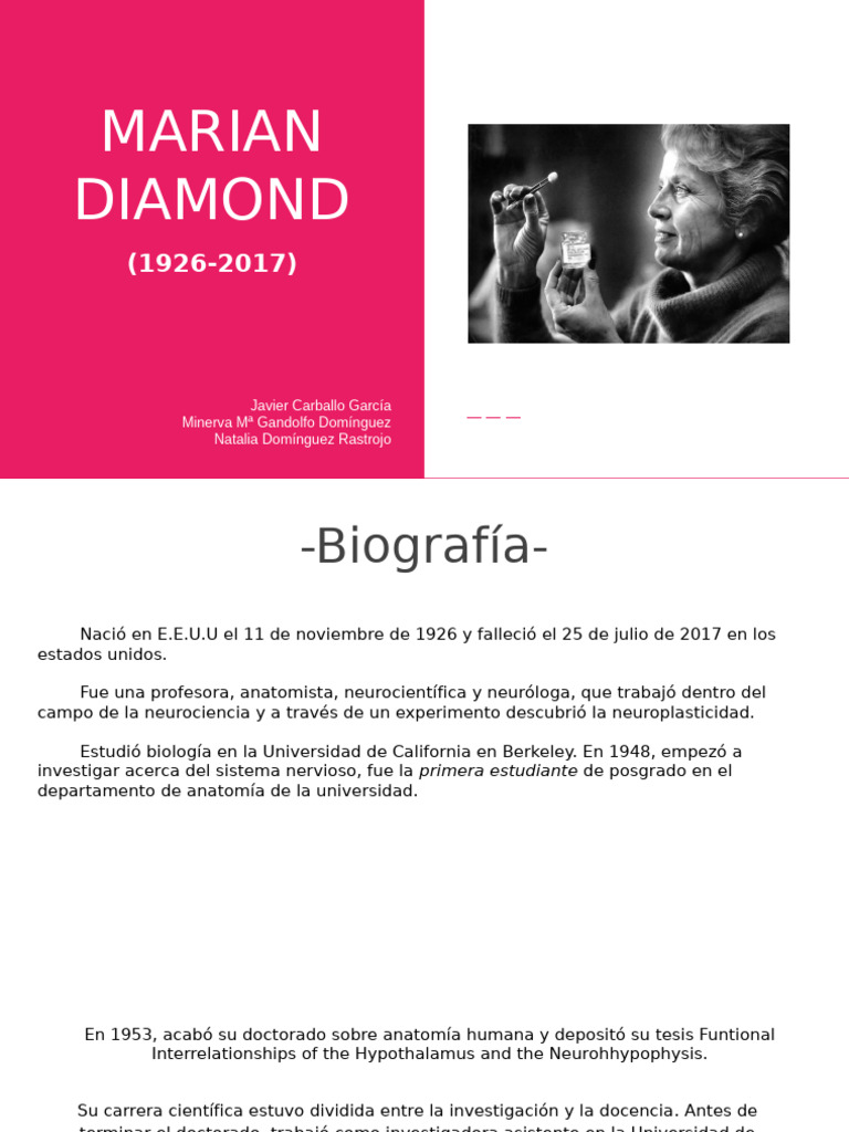 Marian Diamond y la Neuroplasticidad | PDF | Cerebro | Neurociencia