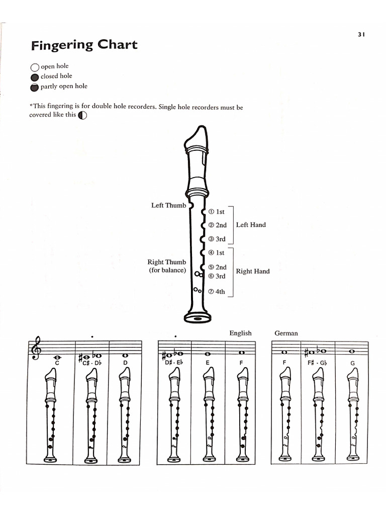 Scanned Recorder Book | PDF