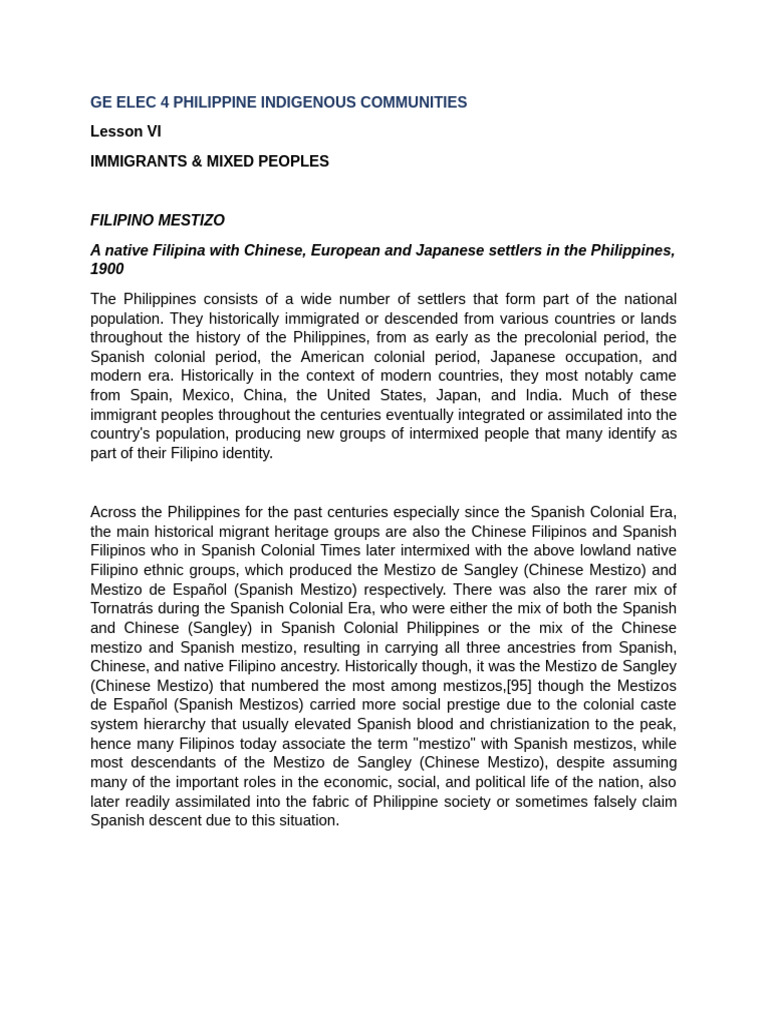 Understanding Filipino Mestizos | PDF | Philippines | Southeast Asia