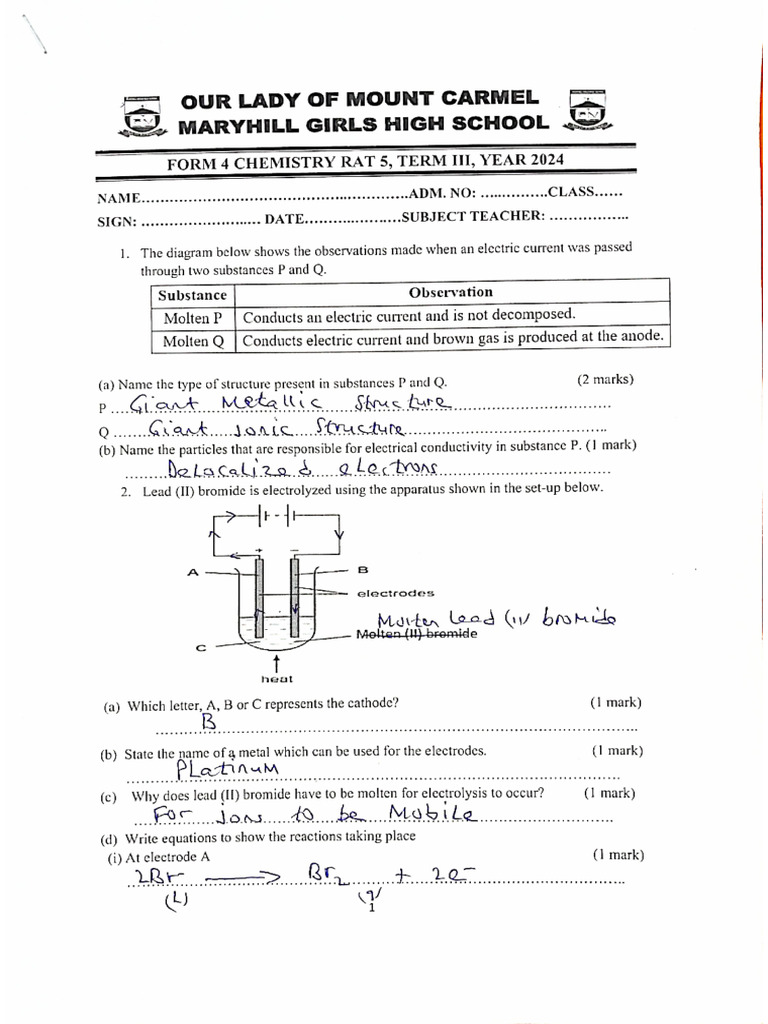 Rat 5 MS | PDF