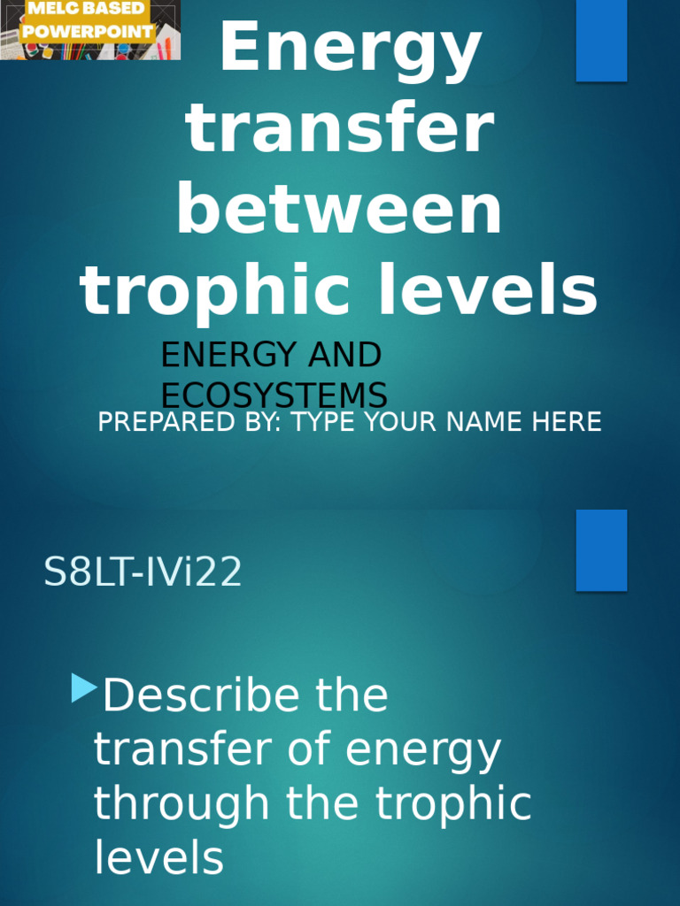 G8 Science Q4 Week 5 Energy Transfer Between Trophic Levels | PDF | Food Web | Photosynthesis