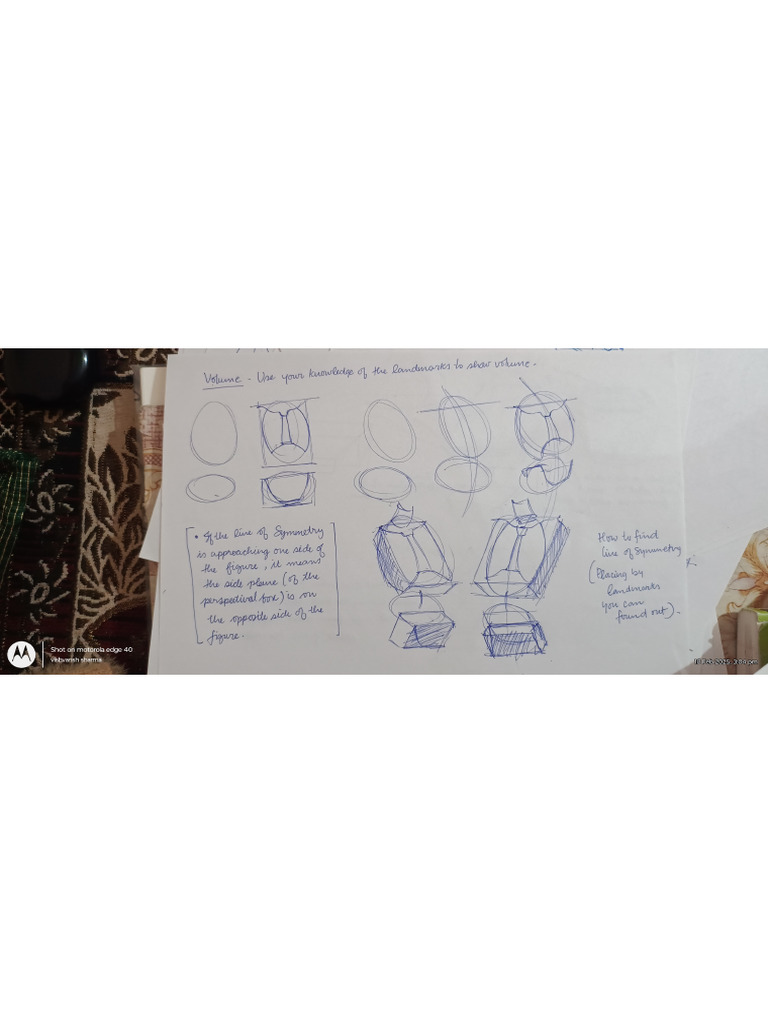 Anatomy For Perspective | PDF