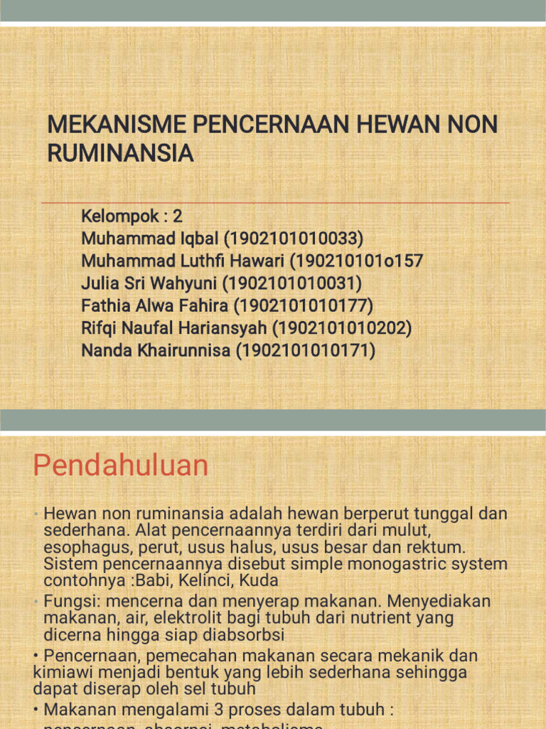 Pencernaan Hewan Non Ruminansia | PDF