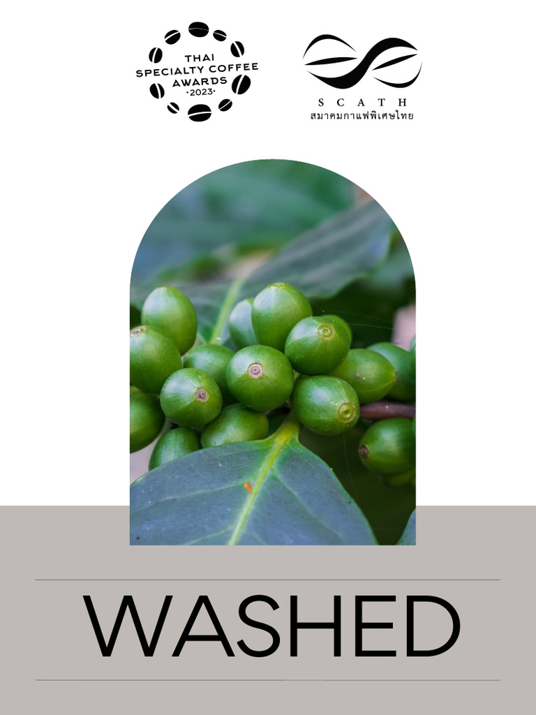 Catalog Washed | PDF