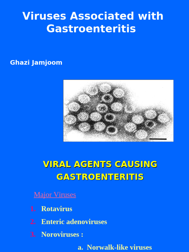 Gastroenteritis Viruses Overview | PDF | Virus | Diarrhea