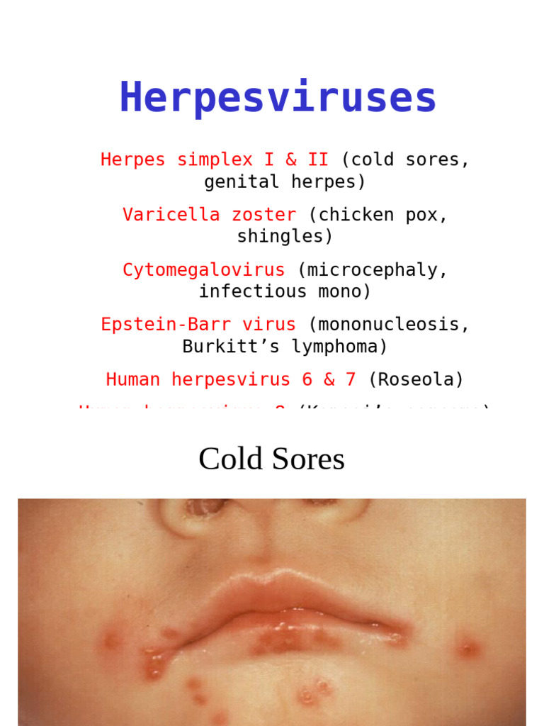 Herpes Virus | PDF | Virus | Organisms