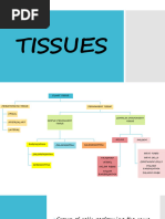 Class 9 Science: Tissues Revision Notes | PDF | Epithelium | Tissue ...