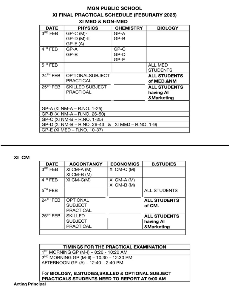 Practical Schedule Final | PDF