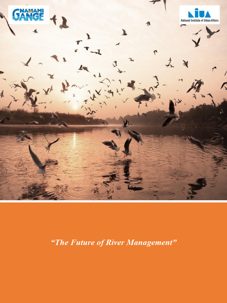 59 - Policy Brief On The Future of River Management | PDF | Governance | Hydropower