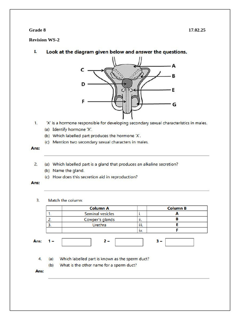 Revision WS-2 Grade 8 | PDF