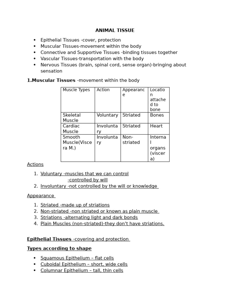 General Biology Notes 2 | PDF | Epithelium | Connective Tissue