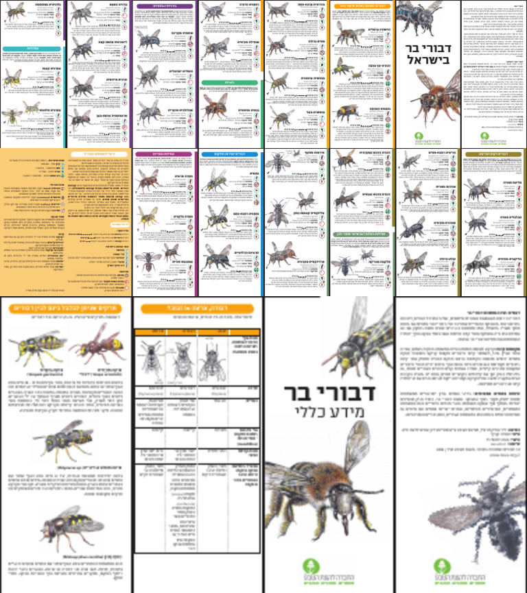 Wild Bees Guide SPNI2018 | PDF