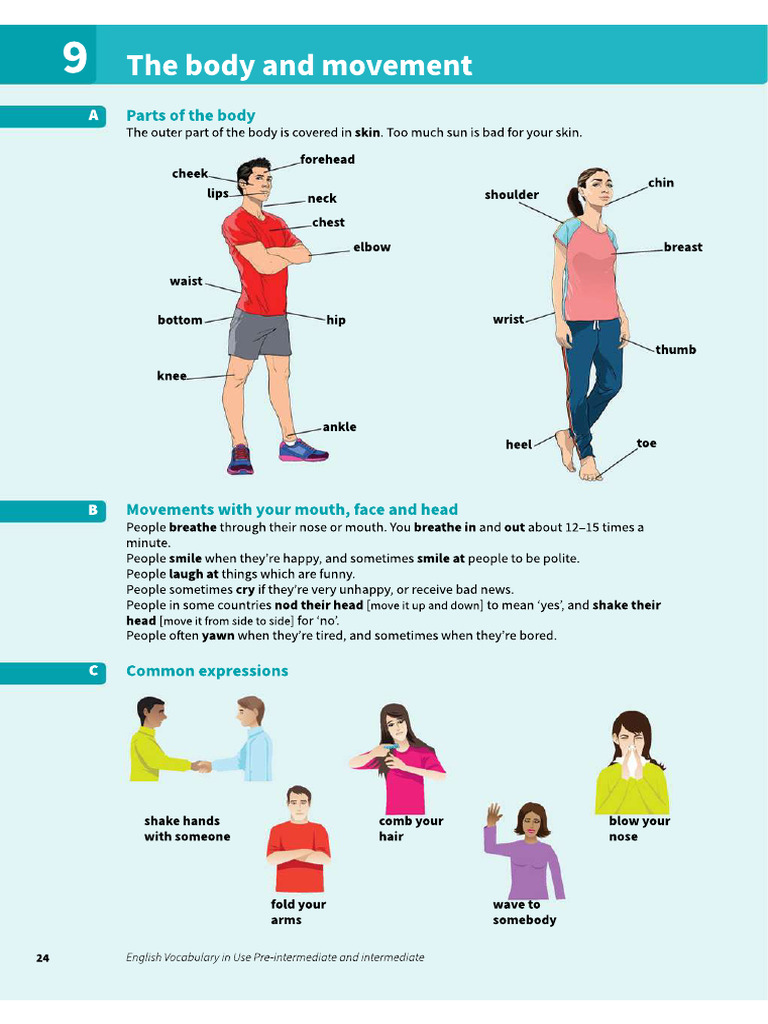 Unit 9. The Body and Movement | PDF