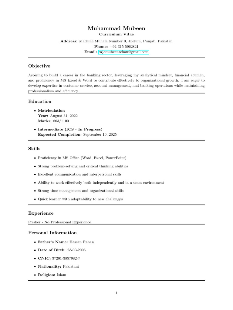 Muhammad Mubeen's Banking CV | PDF