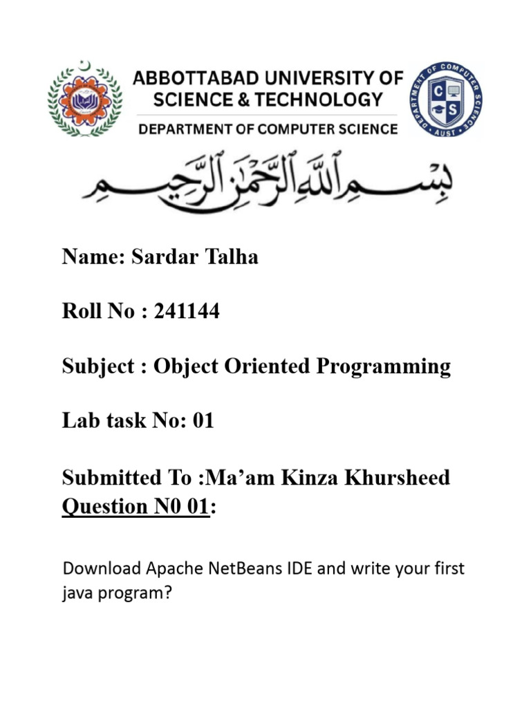 OOP Last Task 1st | PDF