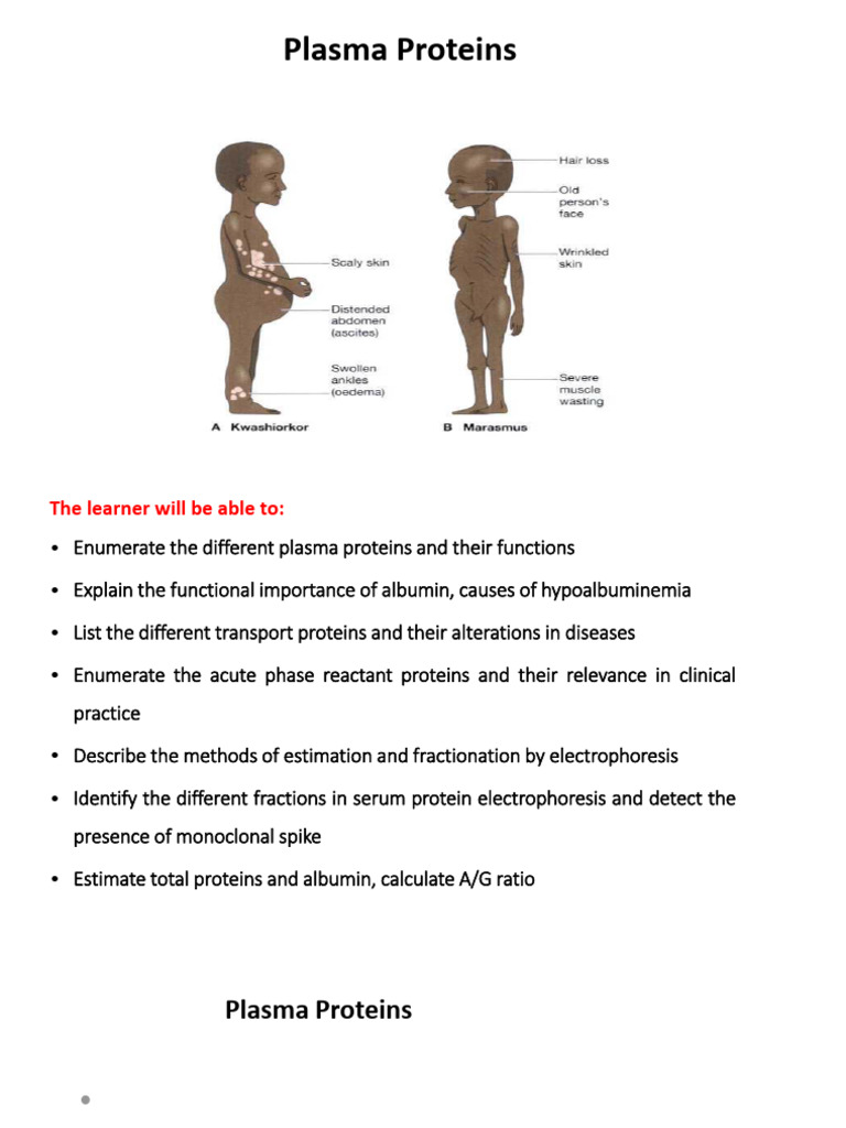 Plasma Proteins | PDF | Blood Plasma | Medical Specialties