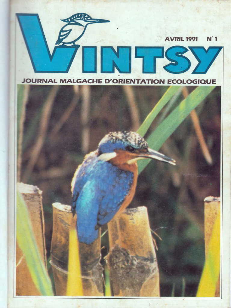vintsy_n1_1 | PDF