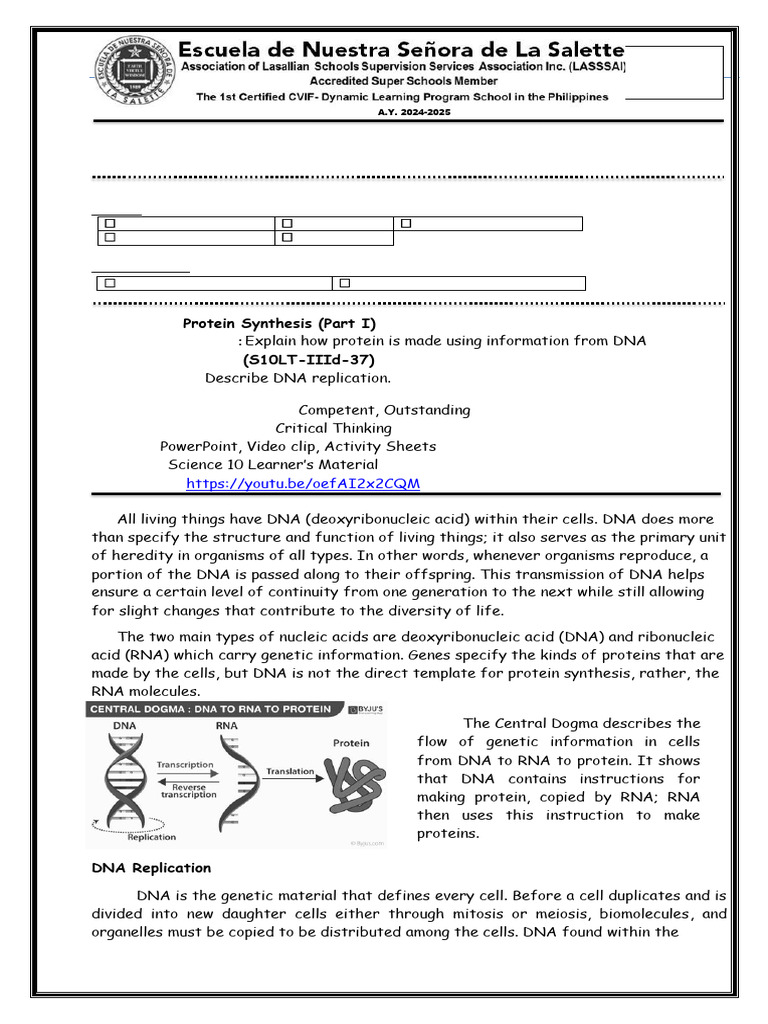 DNA Replication and Protein Synthesis Activity | PDF | Dna | Dna ...