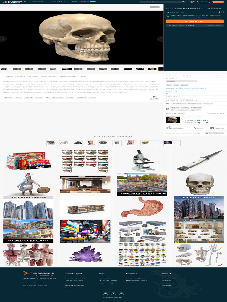 Realistic 3D Human Skull Model for Rendering | PDF | 3 D Computer ...