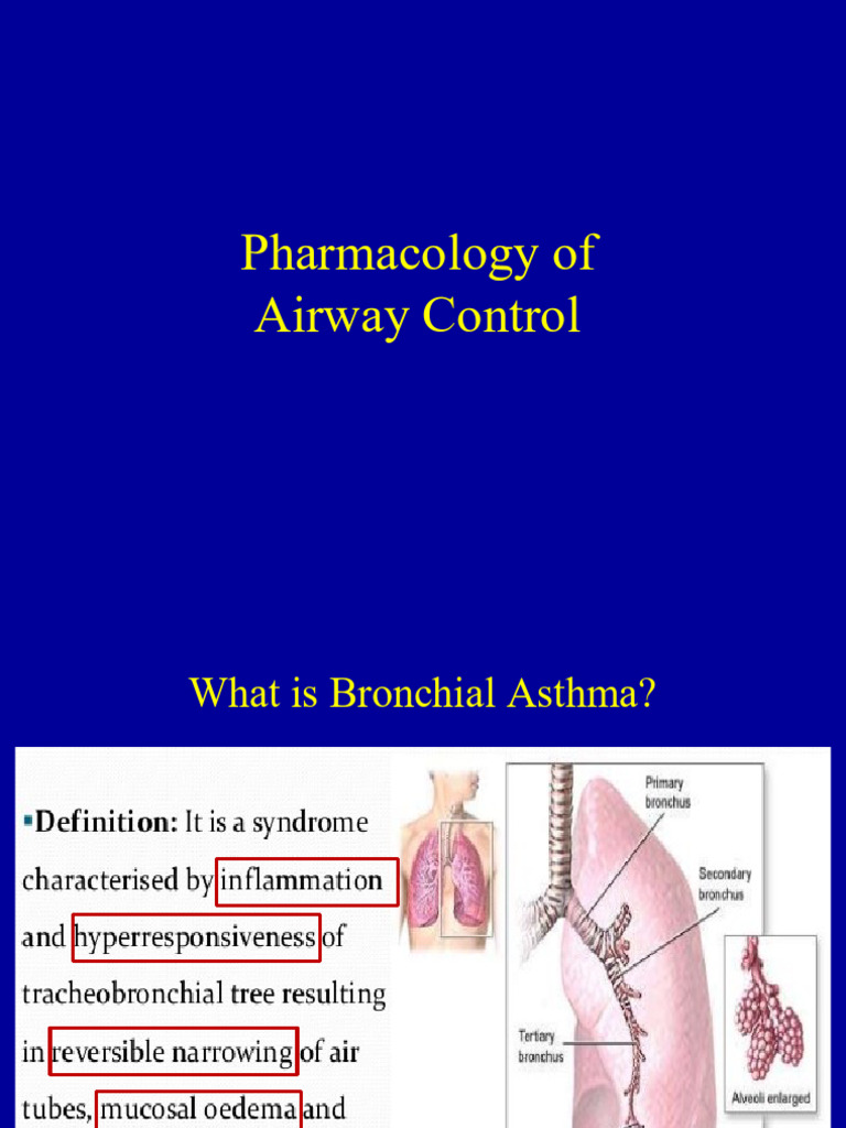 Pharmacology of Bronchial Asthma Lect 12 | PDF | Asthma | Respiratory Tract