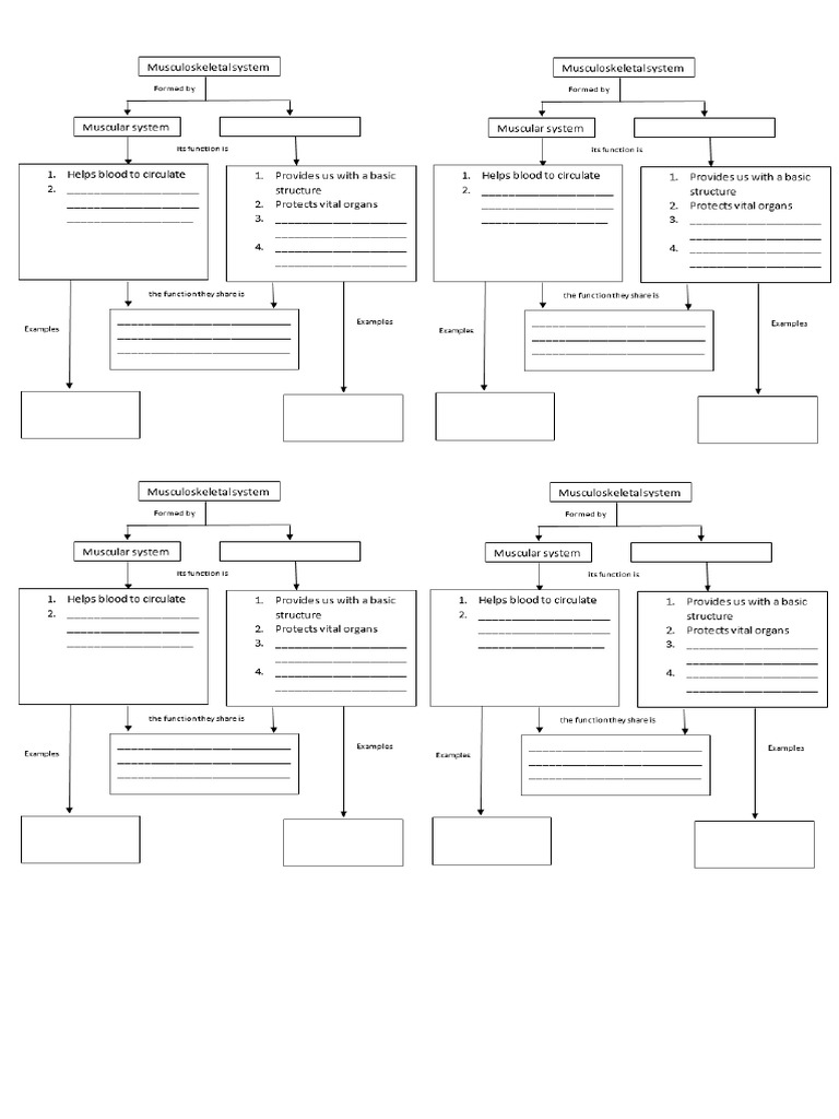 graphic_organizer_skeletal | PDF
