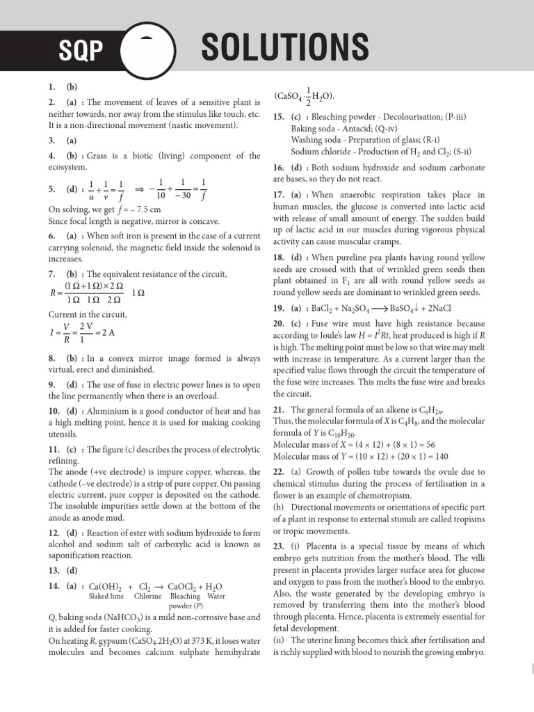 Solutions_10 Science SQP 7 | PDF | Respiratory Tract | Pancreas