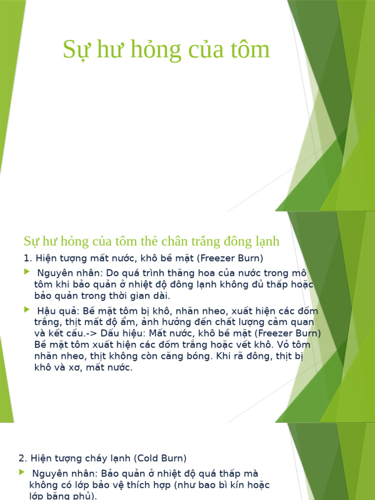 Sự Hư Hỏng Của Tôm (2) | PDF