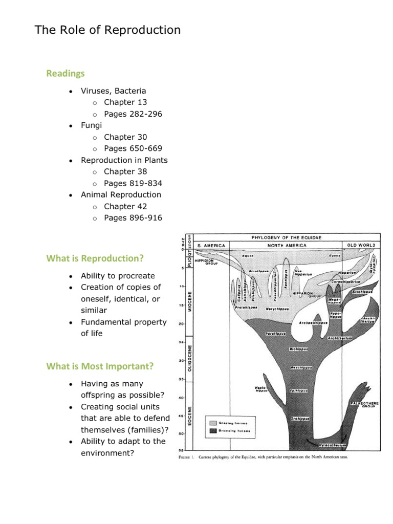 The Role of Reproduction | PDF
