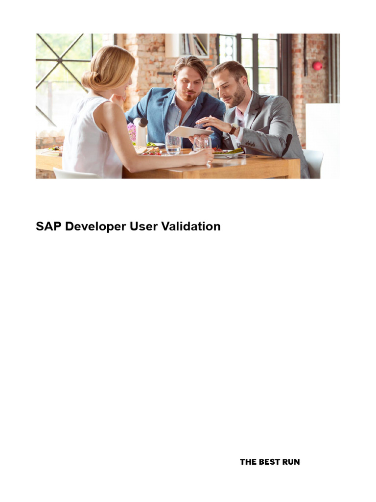 Sap Developer User Classification Report Pdf Software Trademark