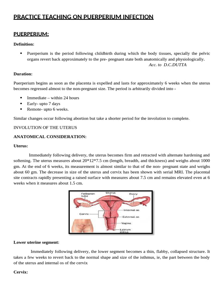 Puerperium Infectn PT | PDF | Childbirth | Breastfeeding