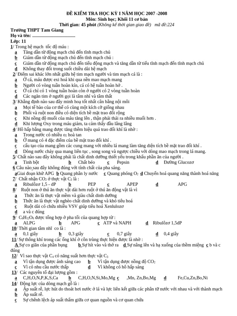 De.3 Thuy 11cb | PDF