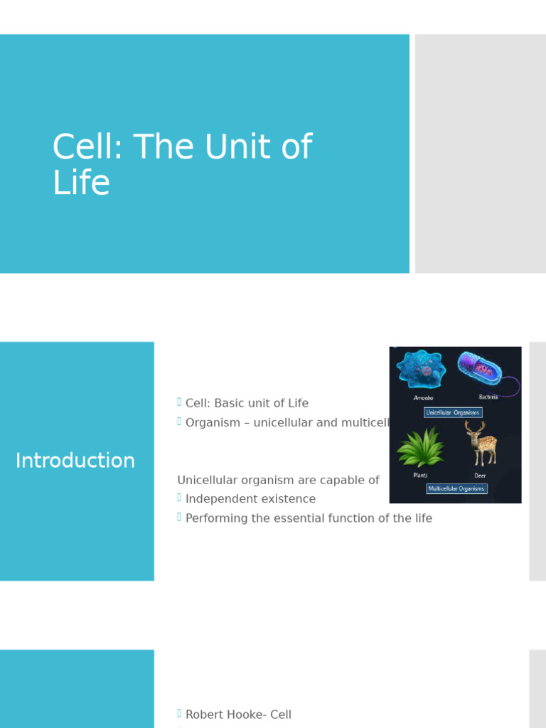 Prokaryotic Cell | PDF | Cell (Biology) | Bacteria
