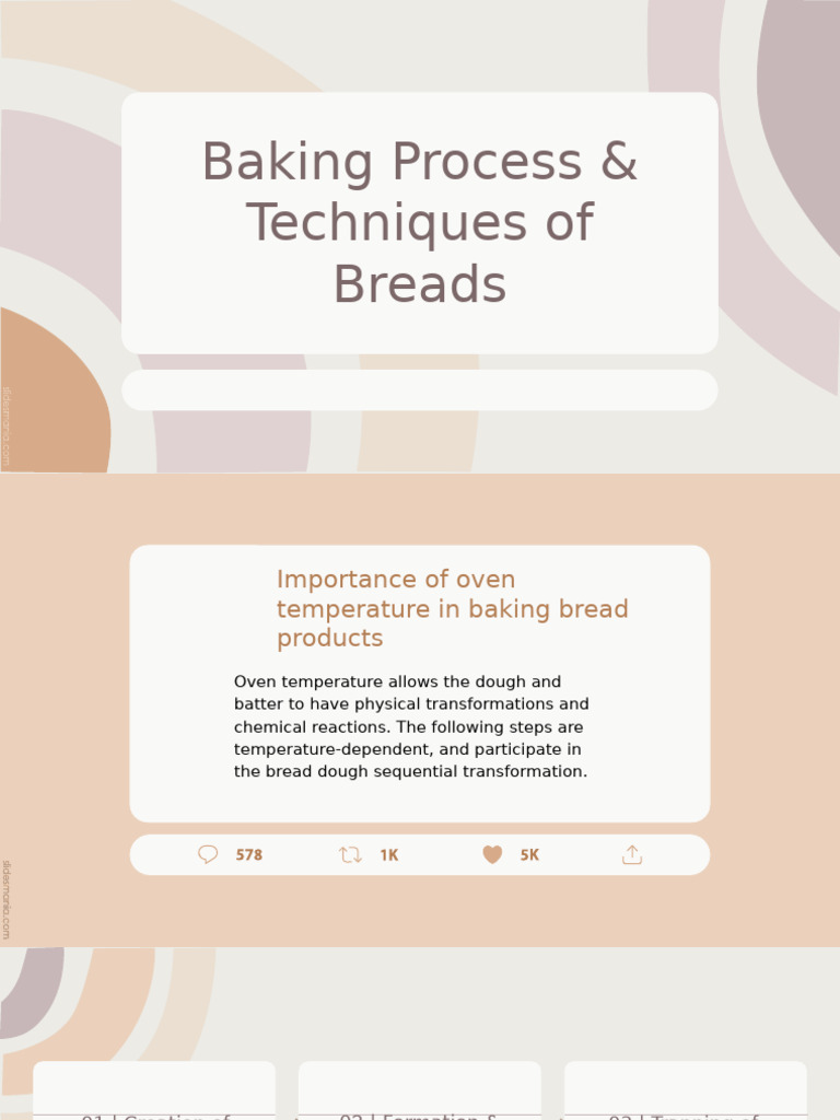 TVE Report | PDF | Breads | Baking