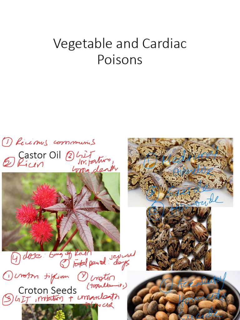 Vegetable and Cardiac Poisons List | PDF