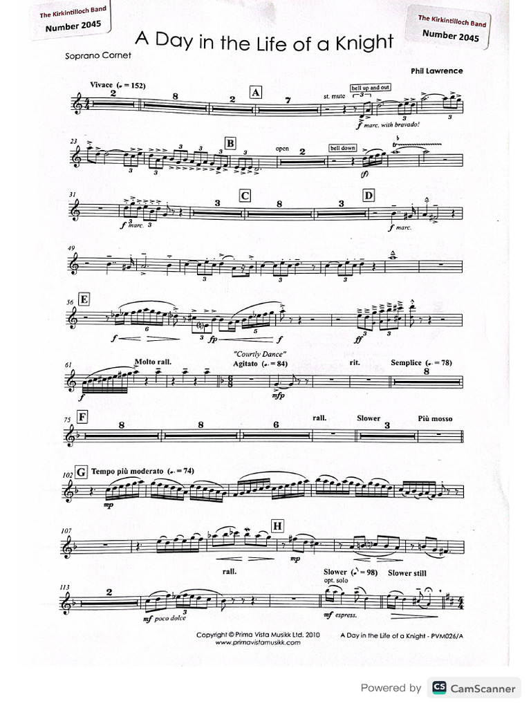 a day in the life of a knight sop | PDF