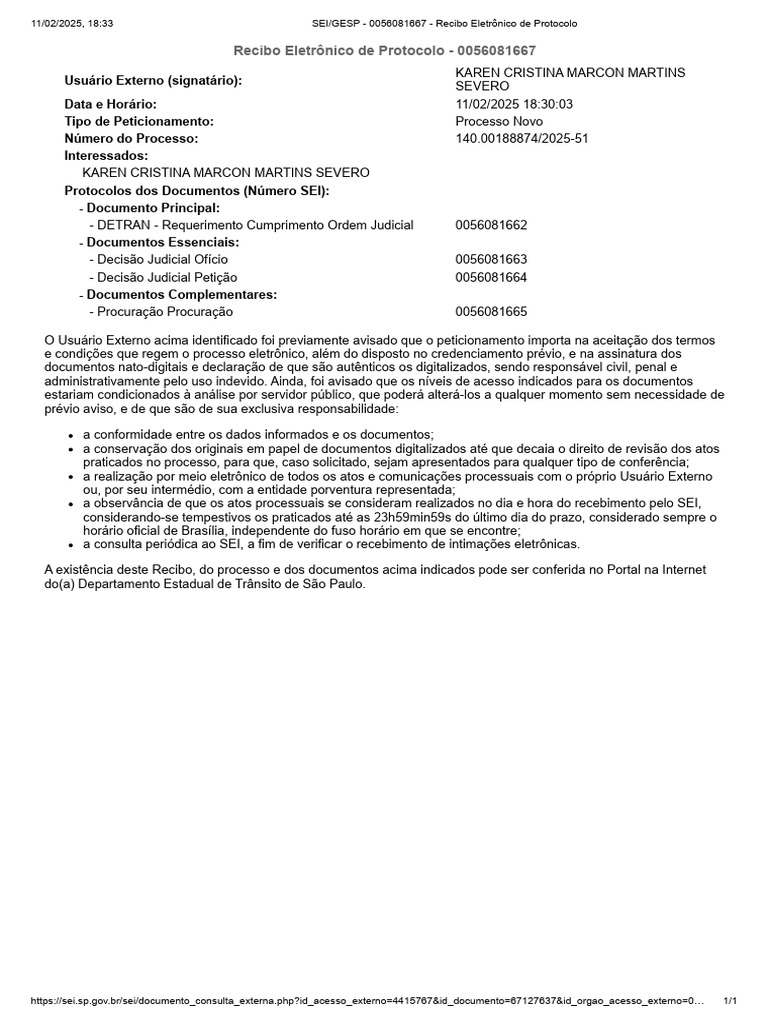 0029.0056 - Protocolo Detran 110225 | PDF