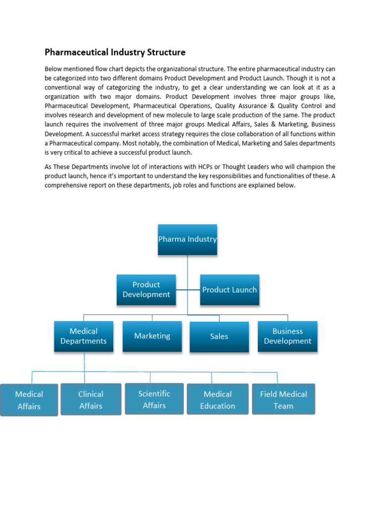 Job Roles & Functions - Domain Intel | PDF | Clinical Trial | Marketing