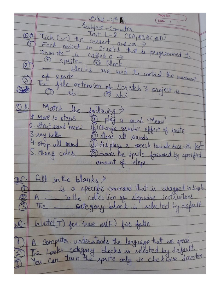 Scratch Questions | PDF