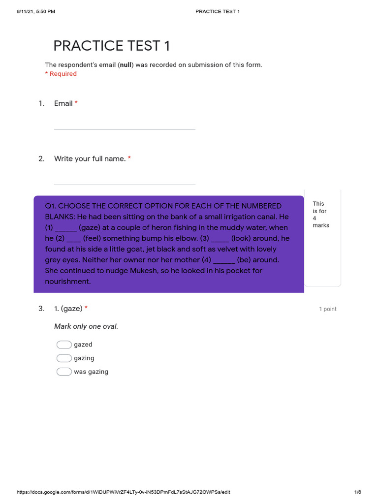 Google Forms English Practice Test | PDF