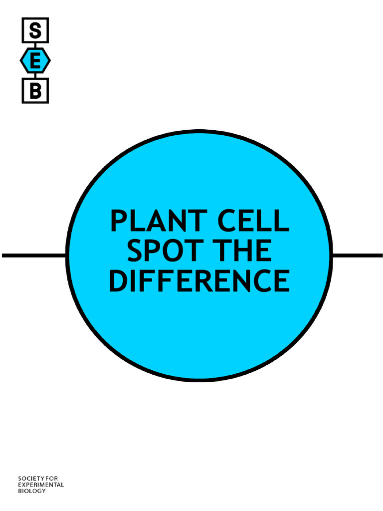 SEB Plant Cell Spot The DifferencePDFgame Activity Sheet | PDF