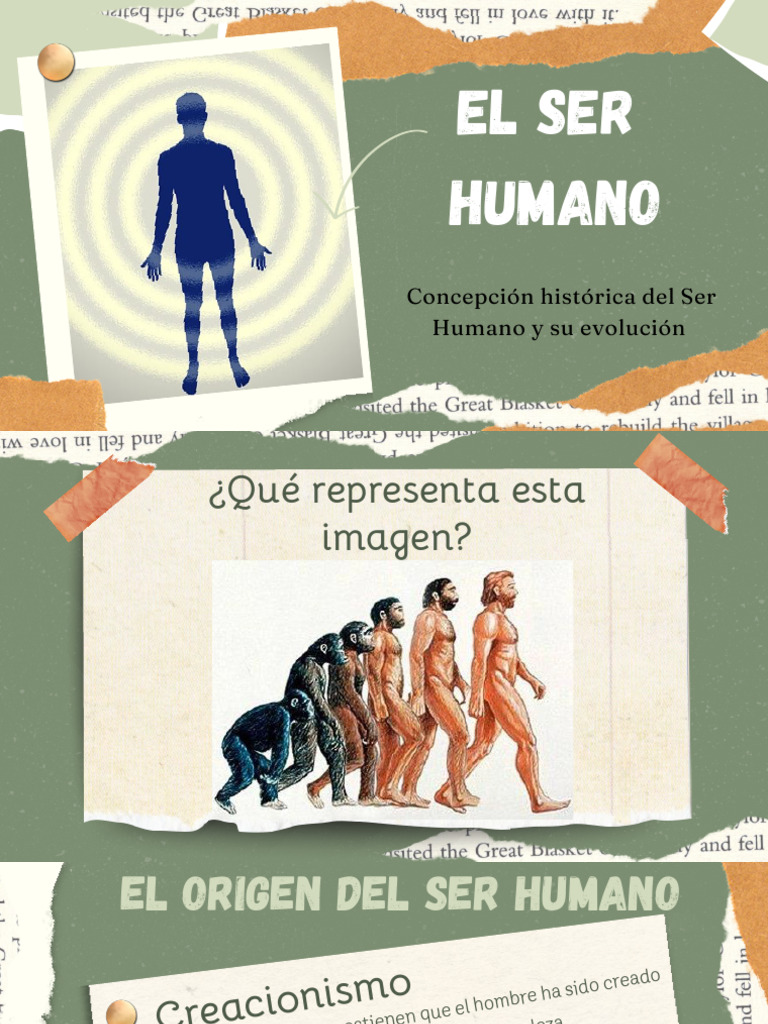EL SER HUMANO Presentacion | PDF | Humano | Seleccion natural