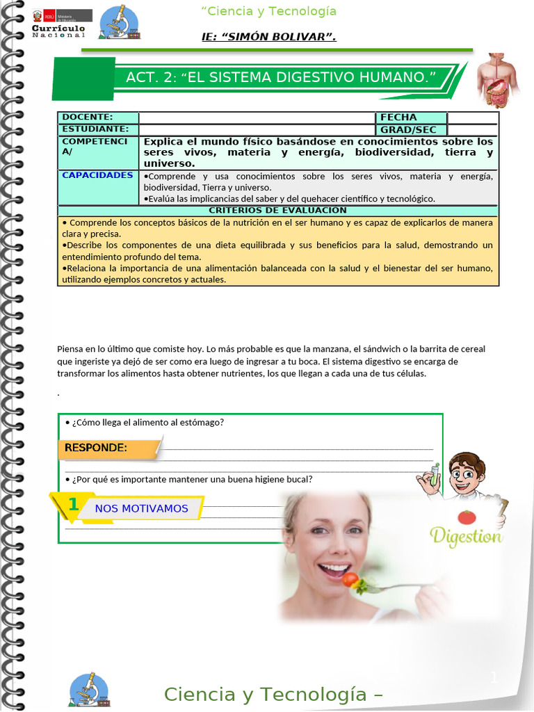 Ficha Sistema Digestivo Humano | PDF | Digestión | Sistema digestivo humano